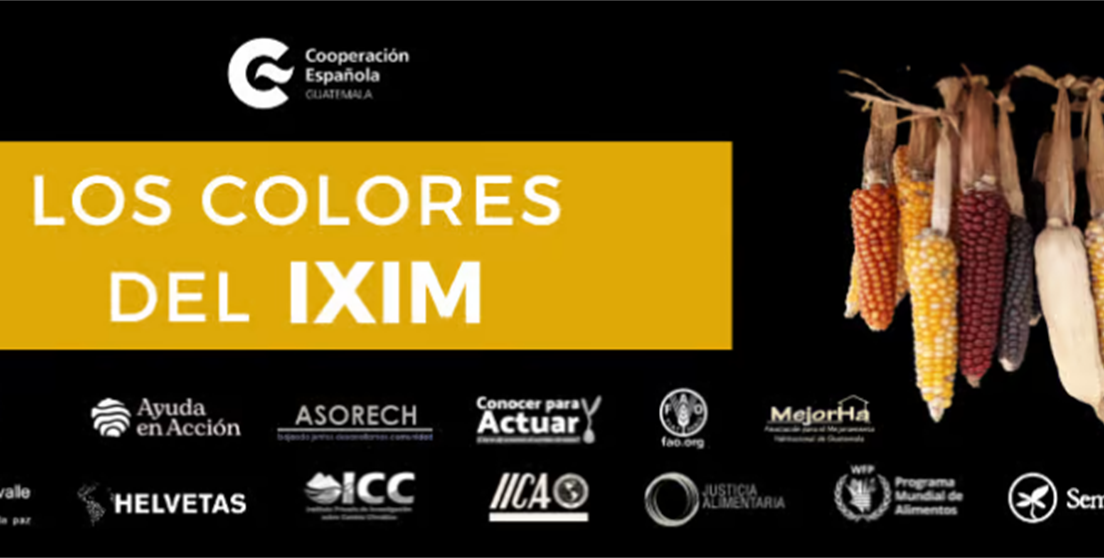 Los Colores del IXIM – Reflexiones y diálogo de saberes sobre maíz, cosmovisión y derecho a la ...